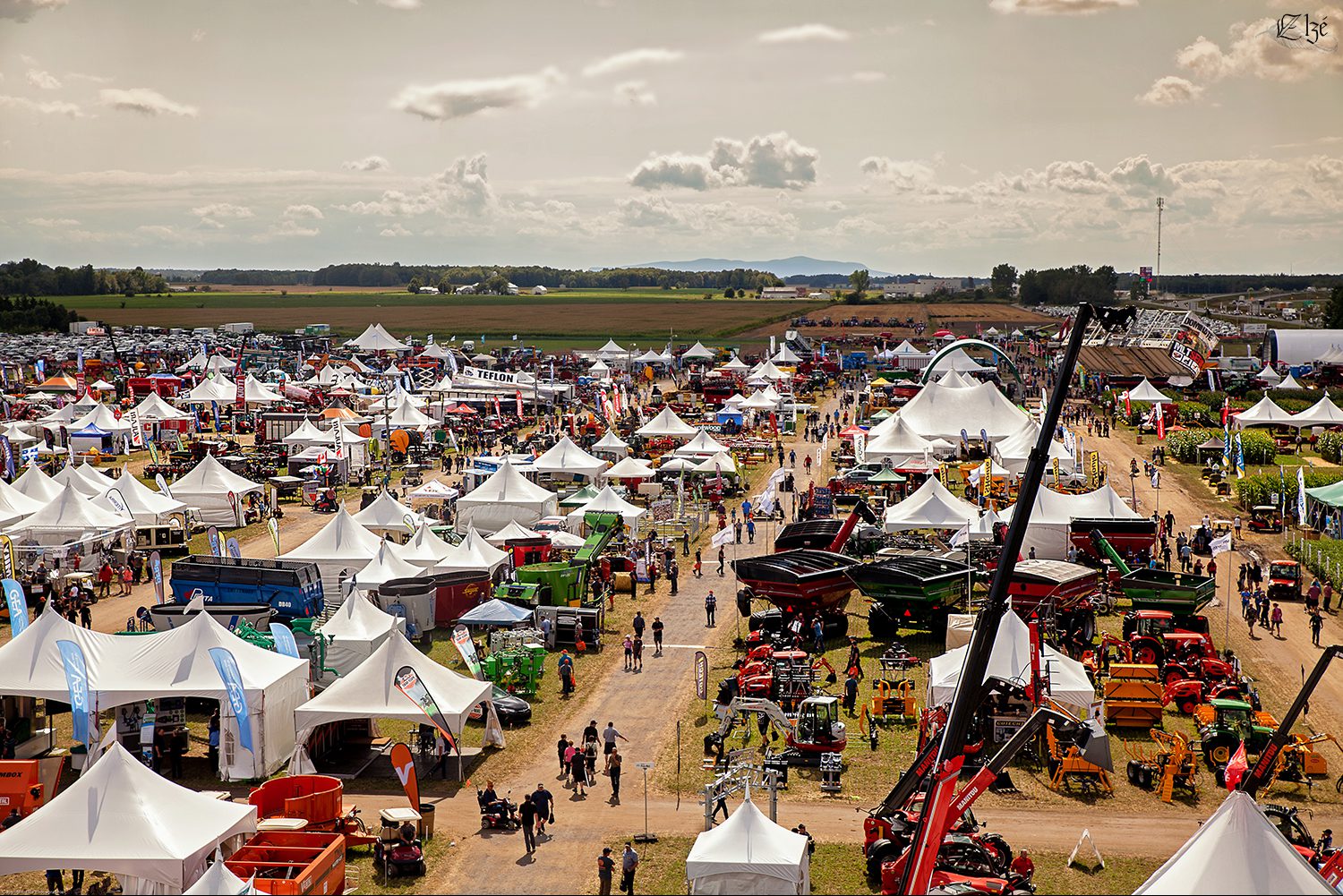 Une version virtuelle pour l'Expo-Champs 2020 - L'Éveil agricole