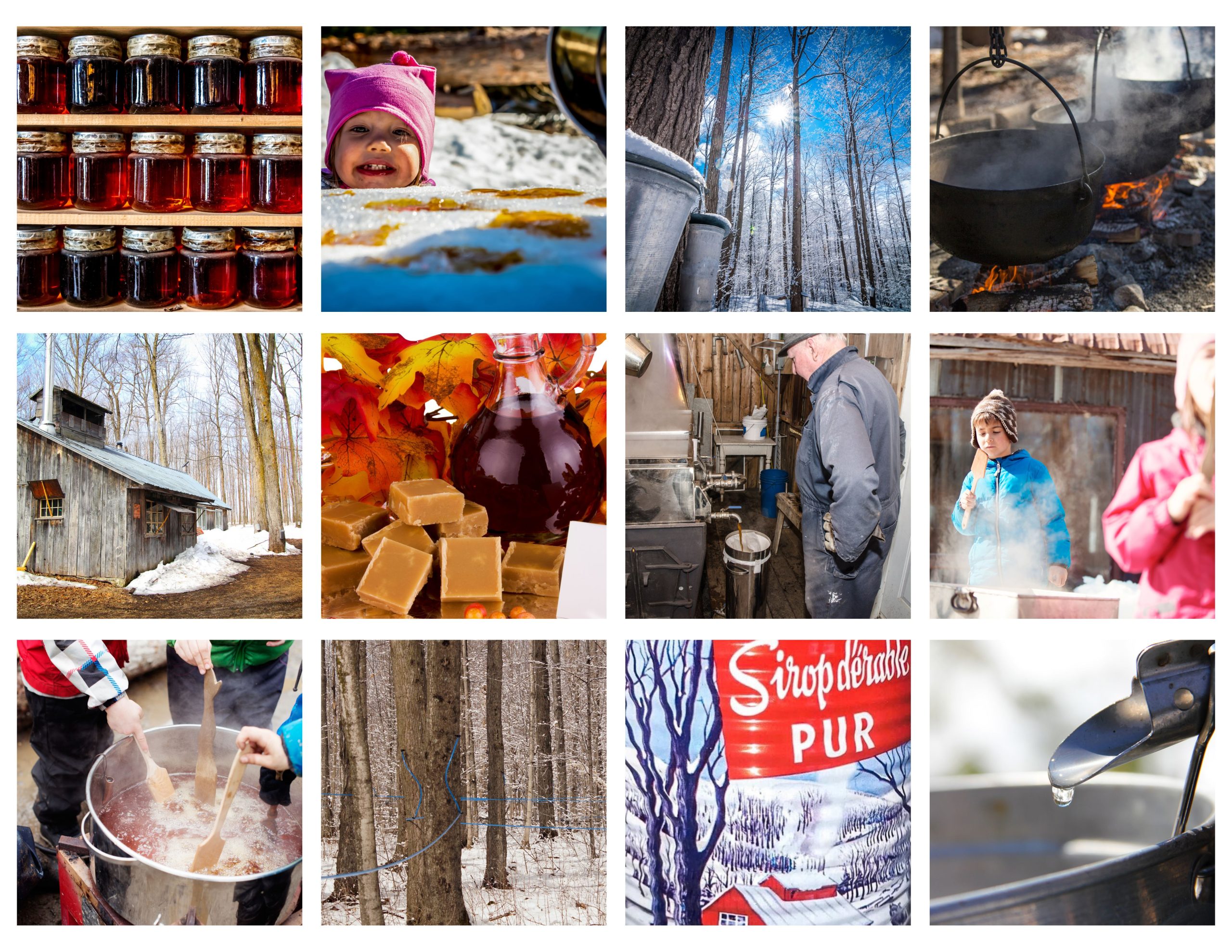 Aux origines du sirop d’érable - L'Éveil agricole